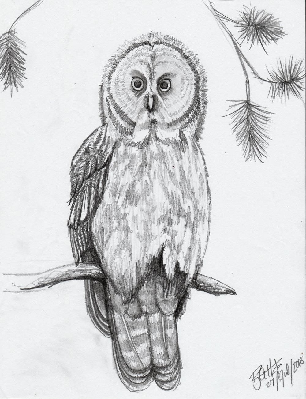 Stages of Drawing 3: Age of Reason through to Realism | Drawing Demystified